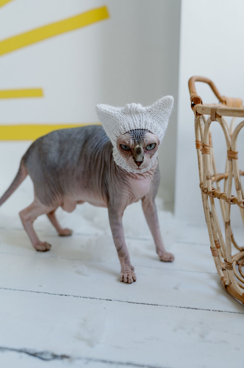 White Cat Hat Sphynx Cat Accessories Pet Beanie Hand Knit Hat for ...