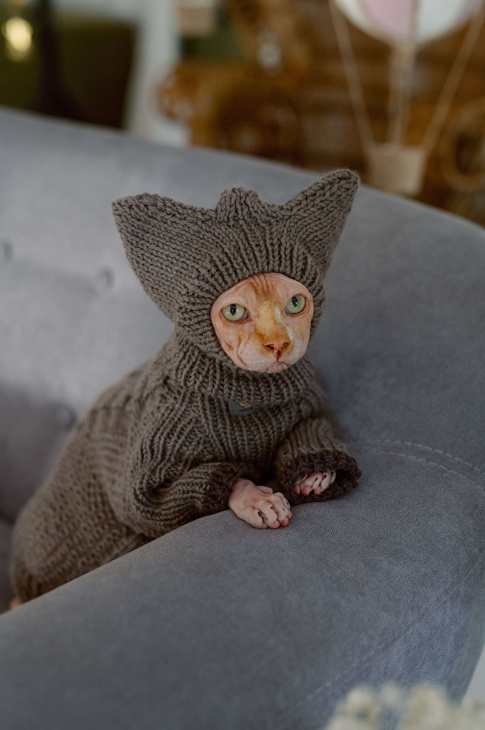 Yellow Cat Hat Hand Knit Sphynx Cat Accessories Pet Winter Beanie for ...