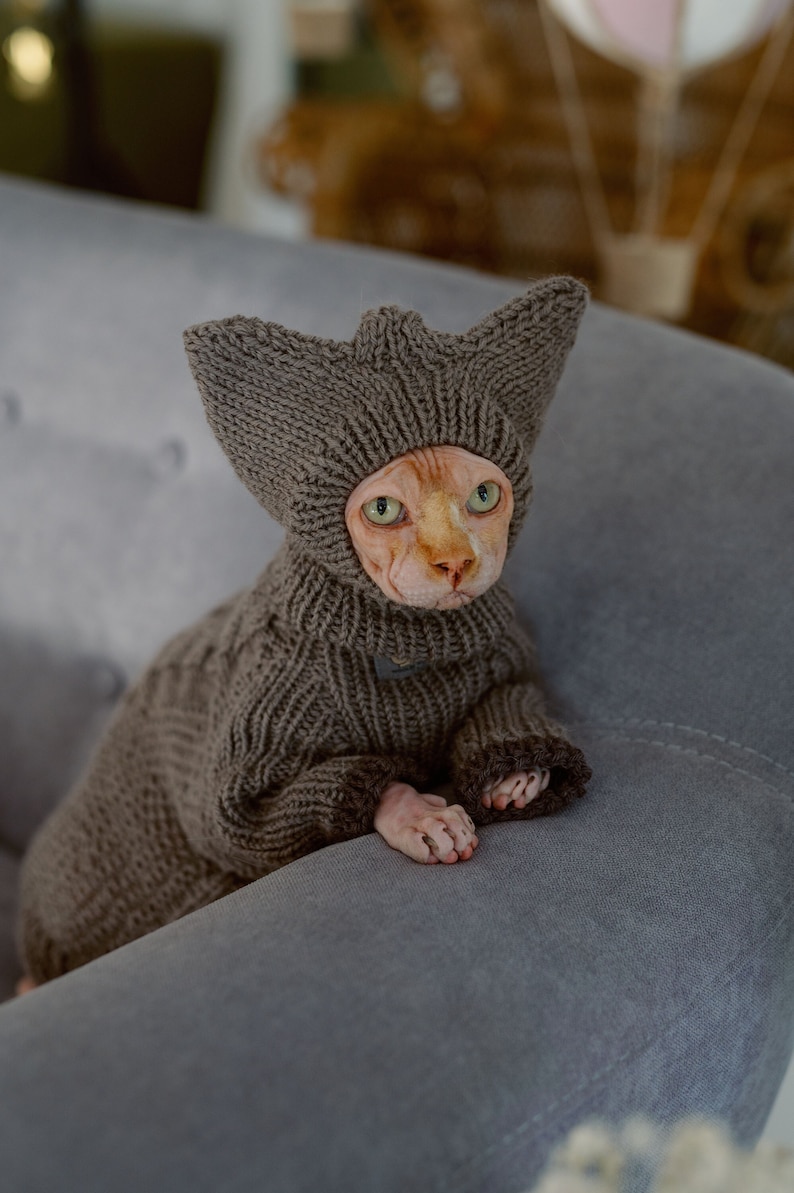 Yellow Cat Hat Hand Knit Sphynx Cat Accessories Pet Winter Beanie for ...