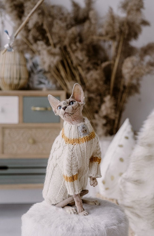 Hand Knit Cat Sweater Wool Hairless Cat Clothes Sphynx Cat | Etsy