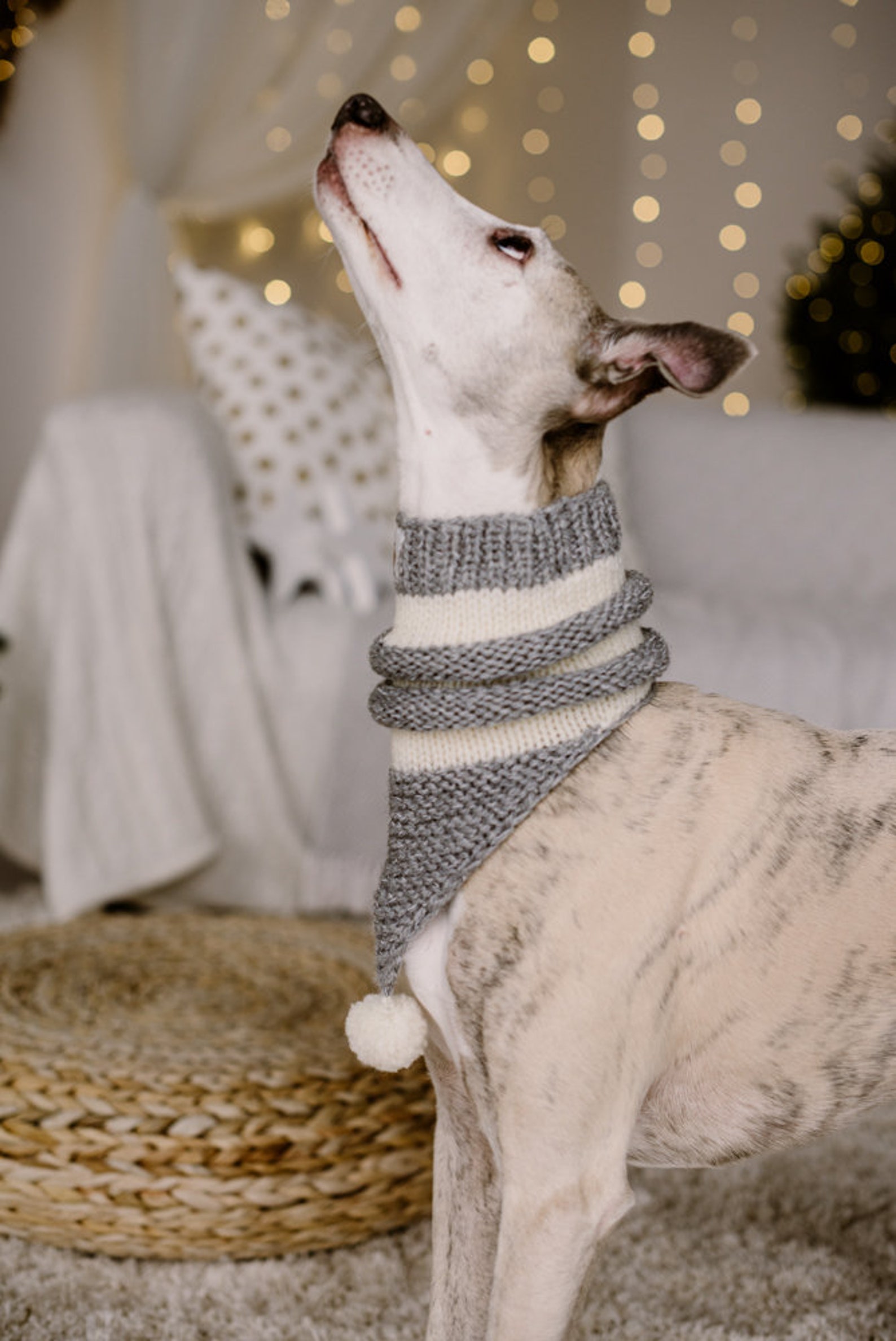 Hand Knit Dog Snood Whippet Scarf Wool Pom Pom Greyhound Snood - Etsy ...