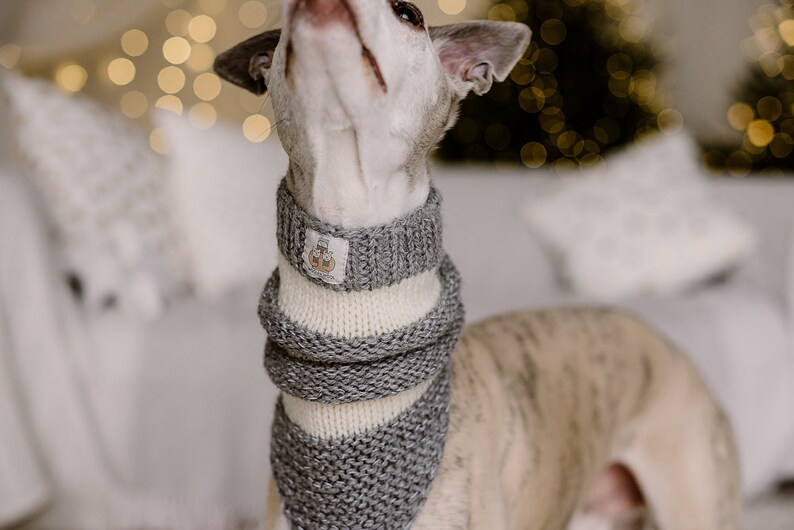 Hand Knit Dog Snood Whippet Scarf Wool Pom Pom Greyhound Snood - Etsy