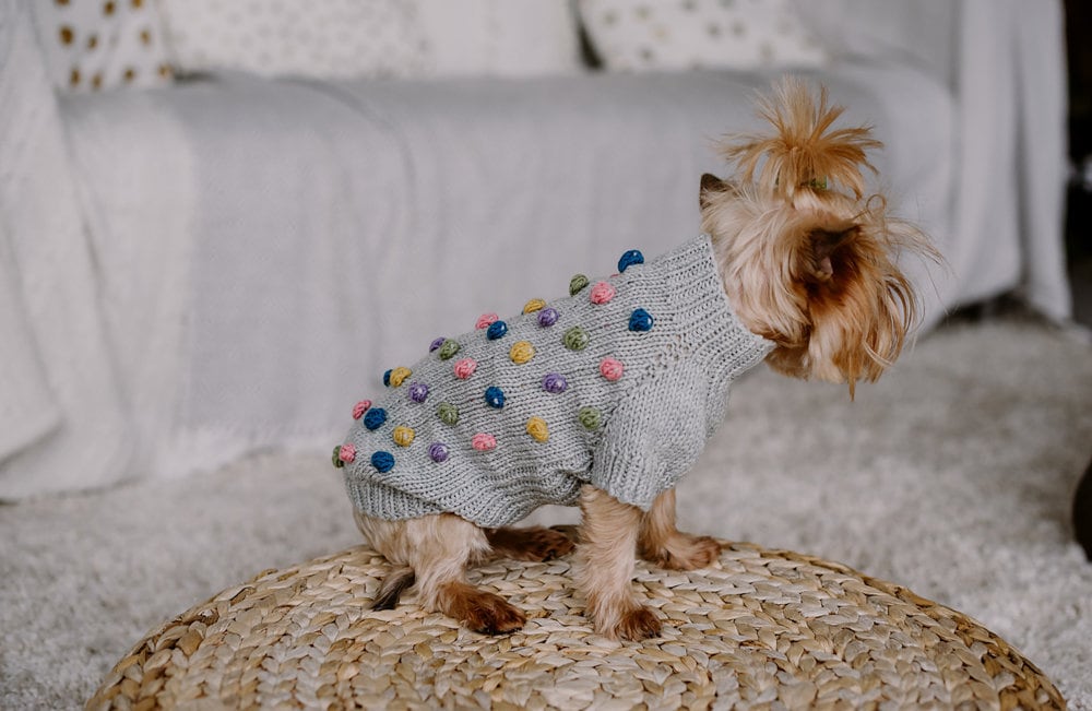 Small dog sweater Hand knit puppy or cat sweater Yorkshire | Etsy
