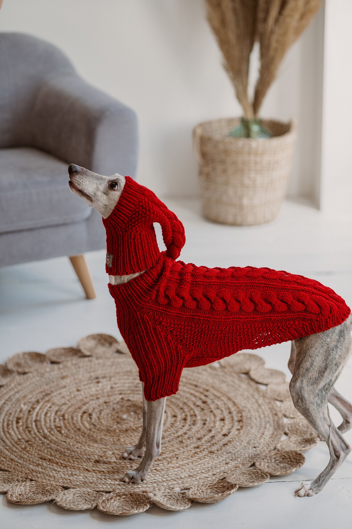 Dog Hat Italian Greyhound Snood Hand Knit Wool Whippet Beanie Cable ...