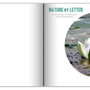 Nature by Letter a Nature Alphabet Book for Everyone - Etsy