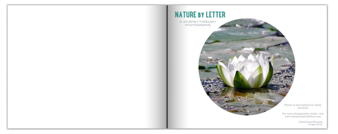 Nature by Letter - a Nature Alphabet Book for Everyone - Etsy