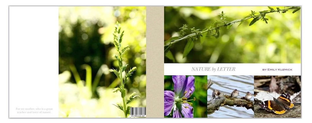 Nature by Letter - a Nature Alphabet Book for Everyone - Etsy