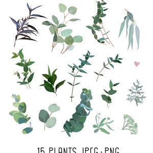 Dusty Pink and Mauve Antique Rose, Lavender and Pale Flowers ...