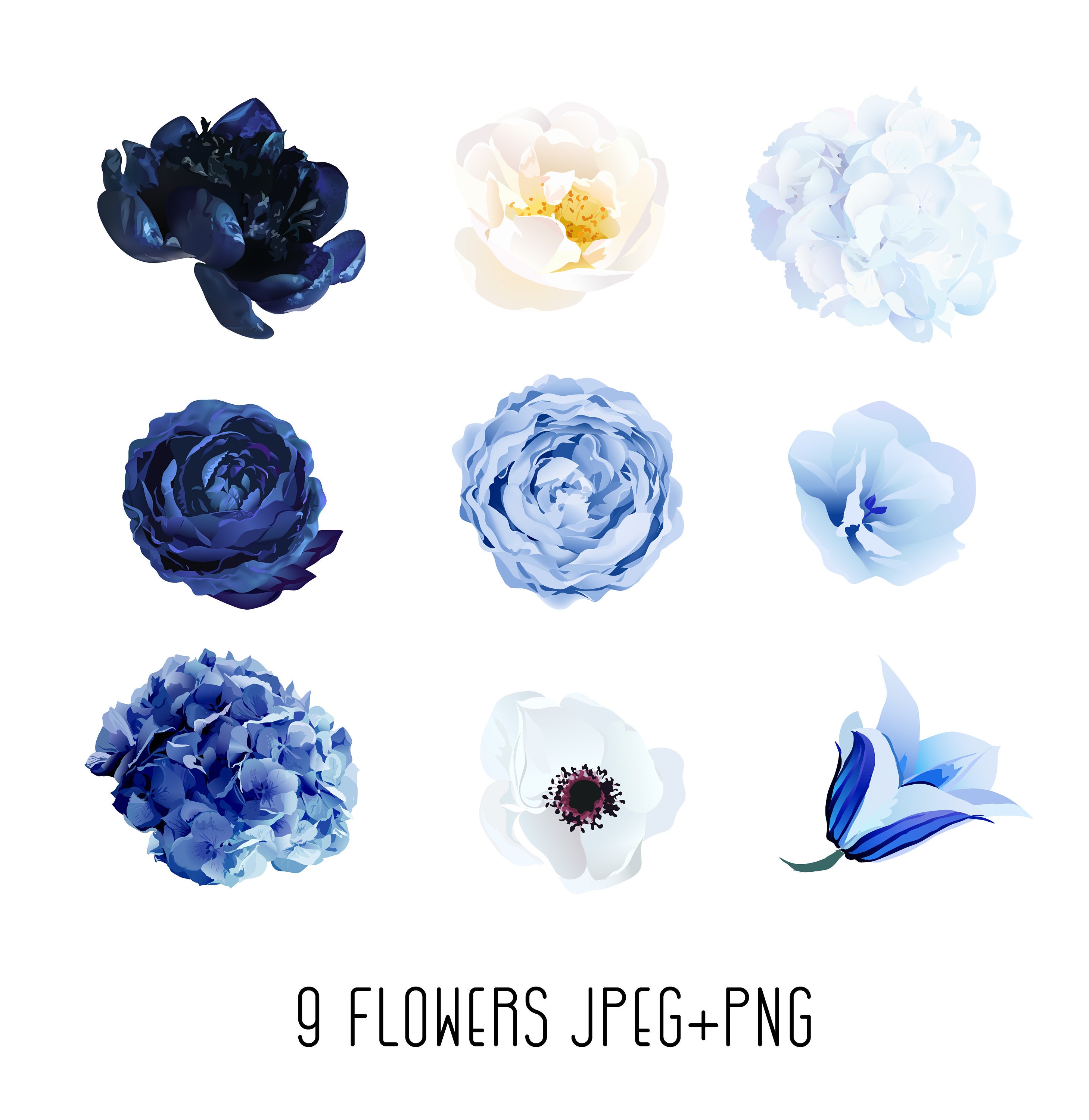 Navy Blue Flowers, White Anemone, Dusty Blue Hydrangea, Ranunculus ...