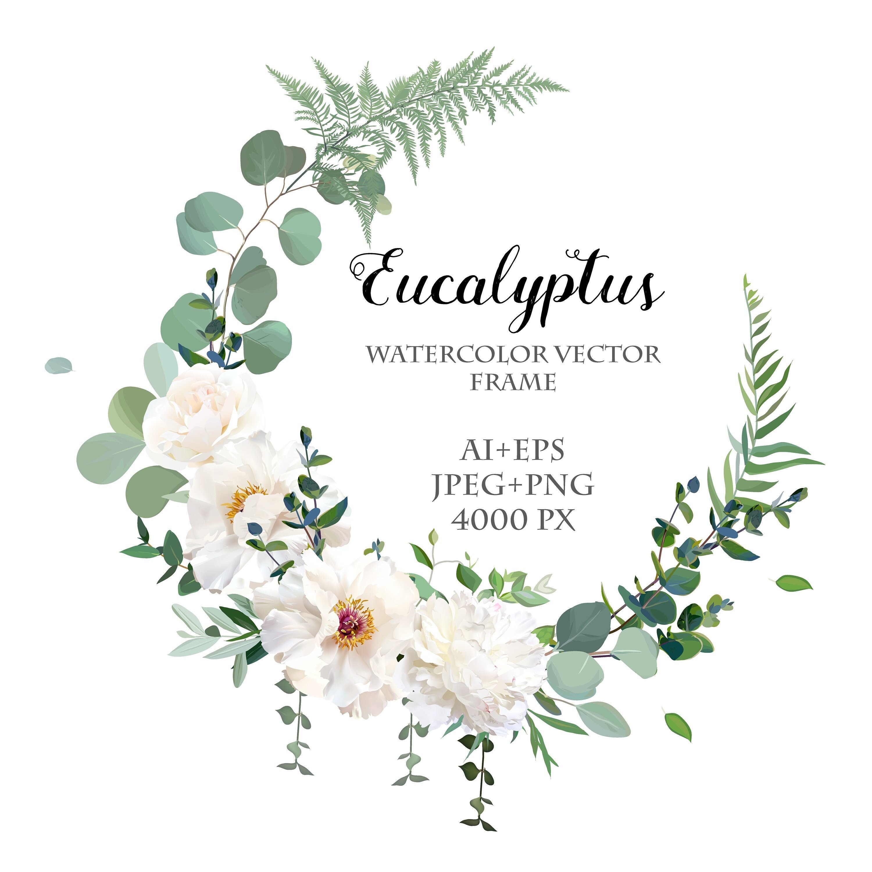 Eucalyptus Flower Vector