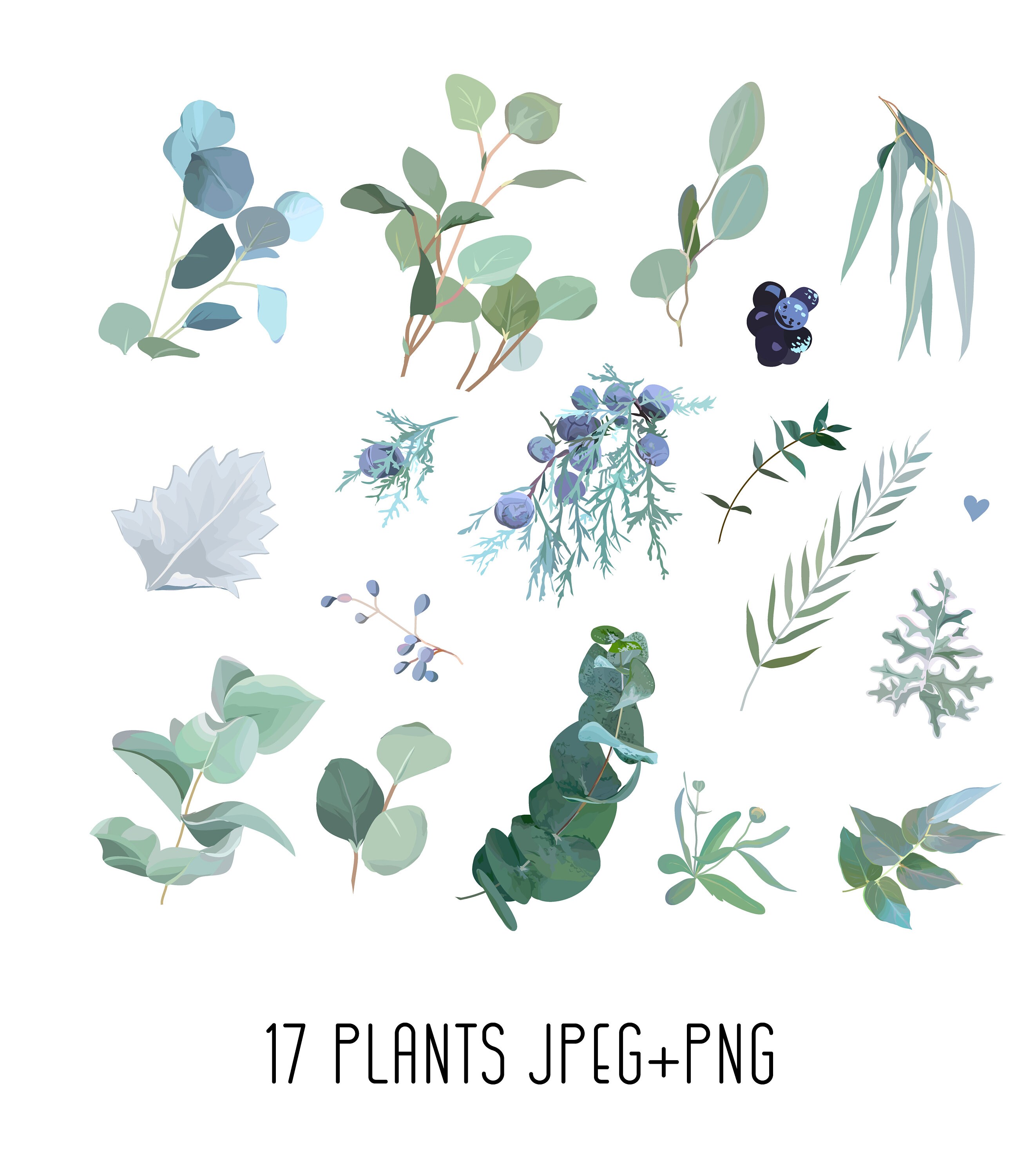 Dusty Blue Vector Clipart. Pale Purple Flower Mauve Rose | Etsy