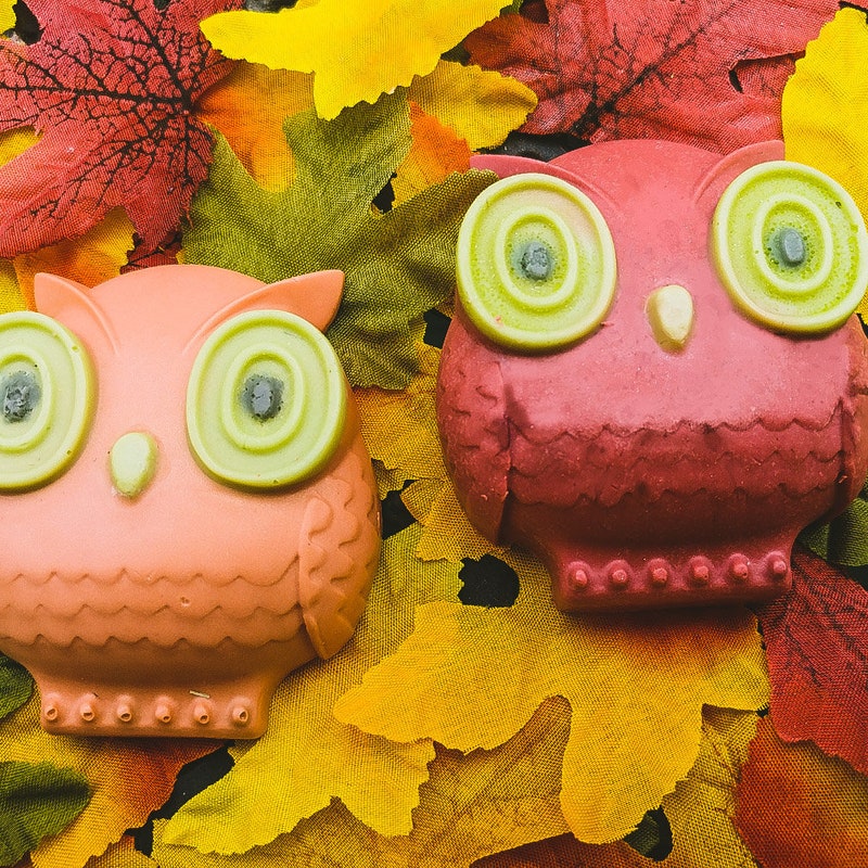 Owl Soap - Etsy