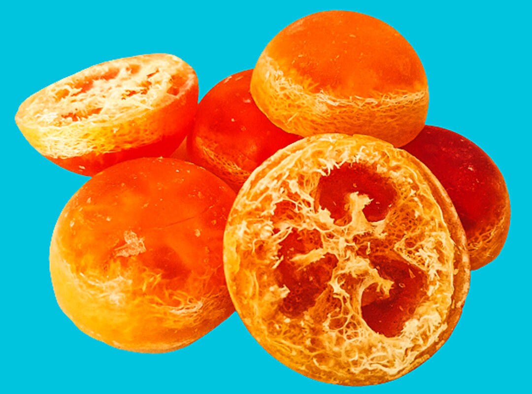 Loofah Orange Citrus Soap, Eco Friendly, Fun Soap, Foot Scrub, Body ...
