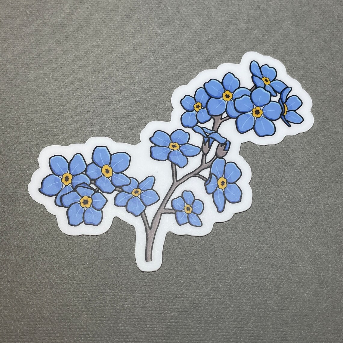 Forget Me Not Sticker | Myosotis Arvensis | Silk Tree | Illustrations ...