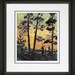 Tom Thomson Pine Trees at Sunset, Group of Seven, Limited Edition ...