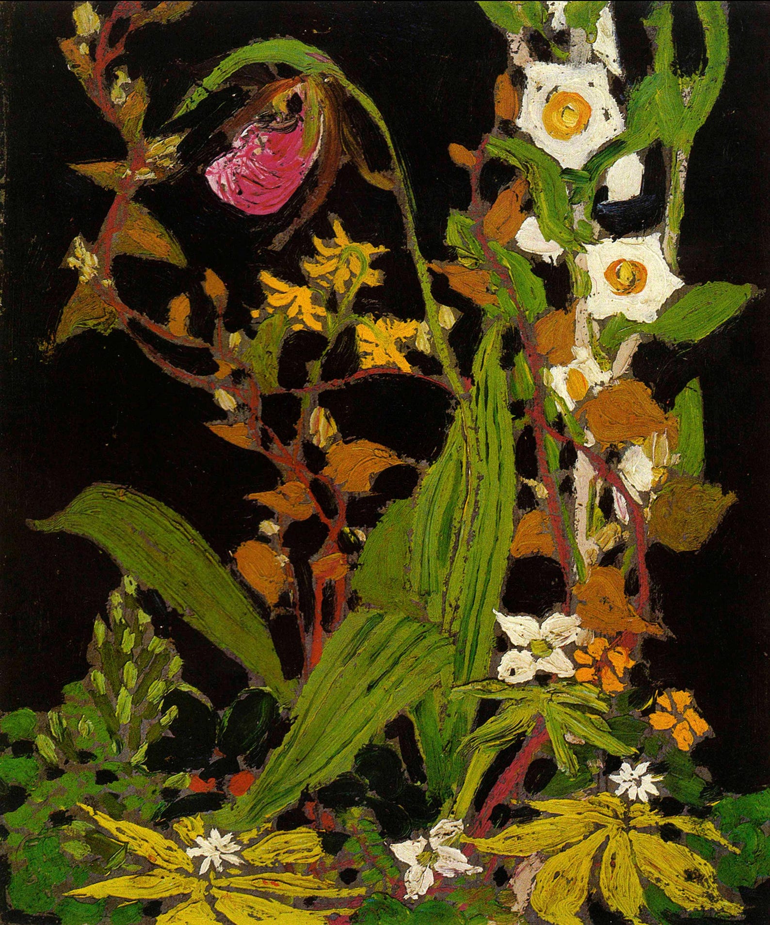 Tom Thomson - Moccasin Flower, Algonquin Park, 1915 - Etsy