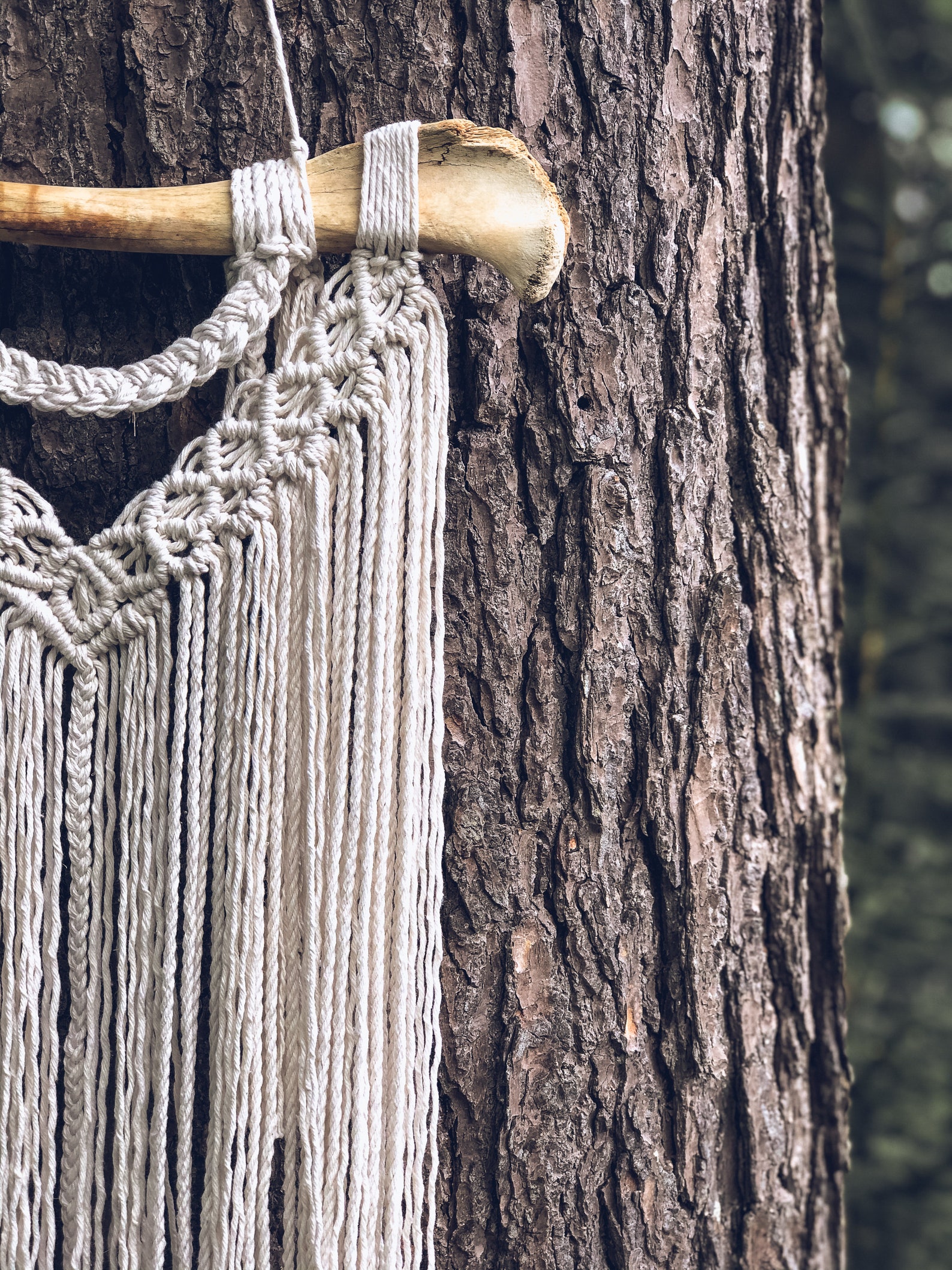 Boho Macrame Wall Hanging Minimalist Real Bone Decor White - Etsy