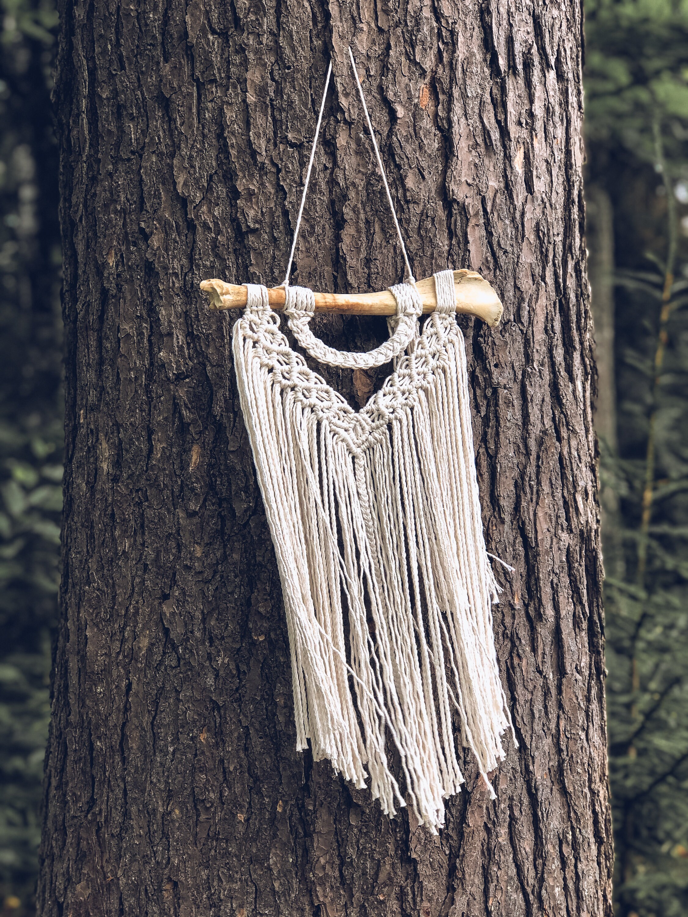 Boho Macrame Wall Hanging Minimalist Real Bone Decor White | Etsy