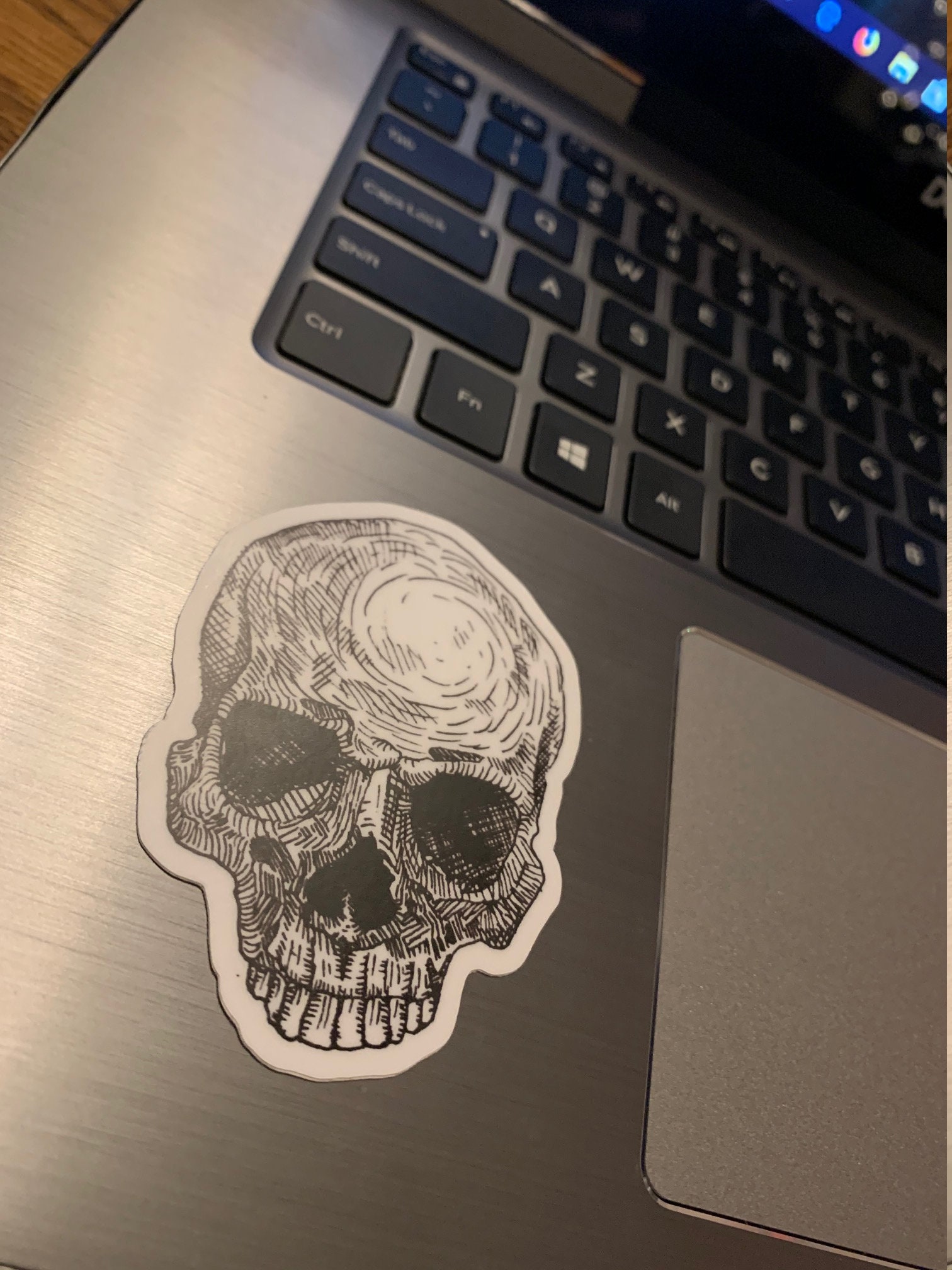 Skull Sticker | Human Skull Sticker Designed & Sold By Ian Dodds