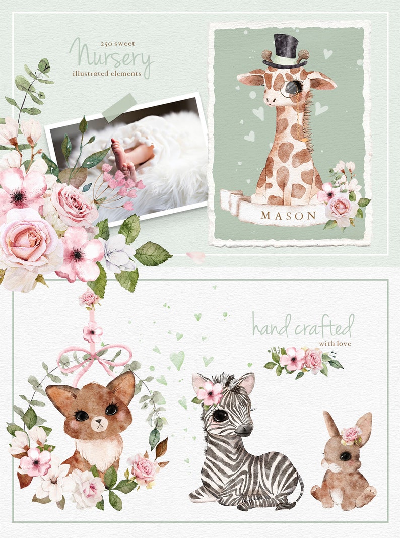 Safari Animal Clipart Animal Babies Watercolor Clipart Cute - Etsy