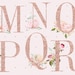 Floral Alphabet Clipart, Floral Letters, Botanical Alphabet, Flower ...