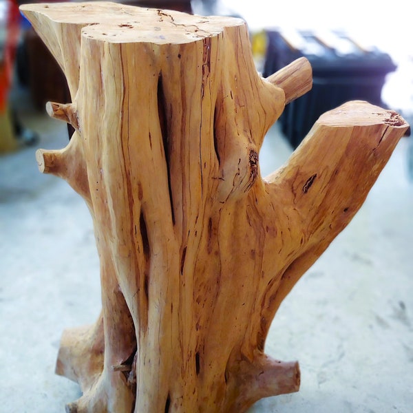 Tree Stump Table - Etsy