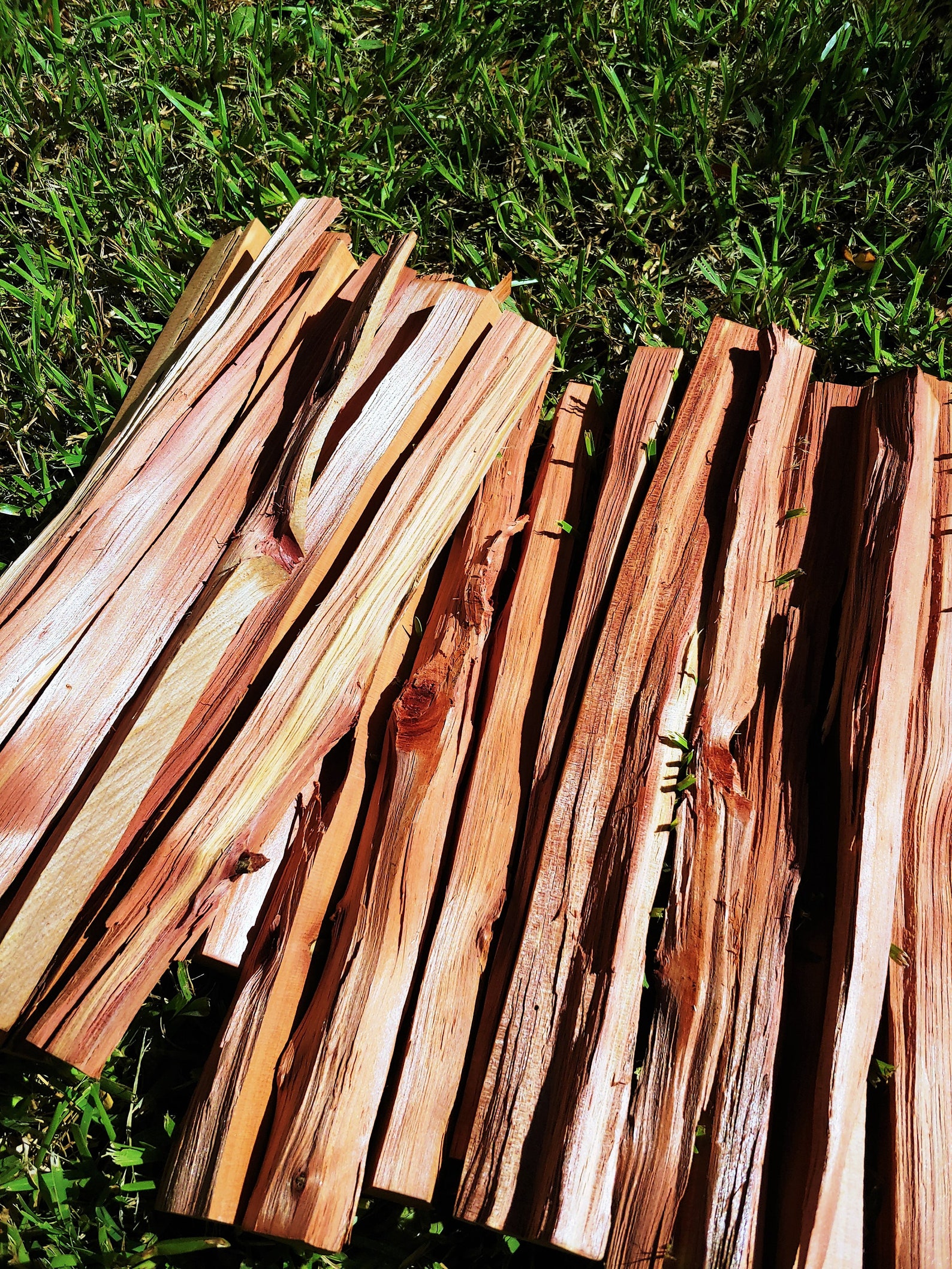 Cedar Kindling Large Bundle Cedar Sticks Cedar Smudge - Etsy
