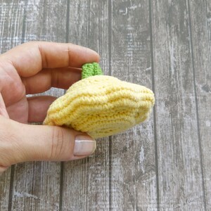 Crochet Pattypan Sqash Pattern, Amigurumi While-pattypan Squash Play ...