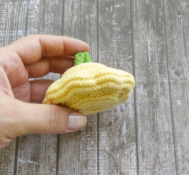 Crochet Pattypan Sqash Pattern Amigurumi While-pattypan | Etsy