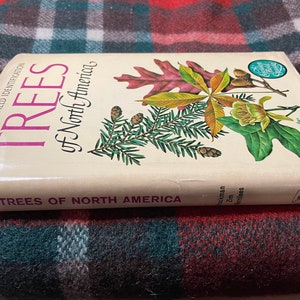 1968 Trees of North America – A Guide to Field Identification - Etsy