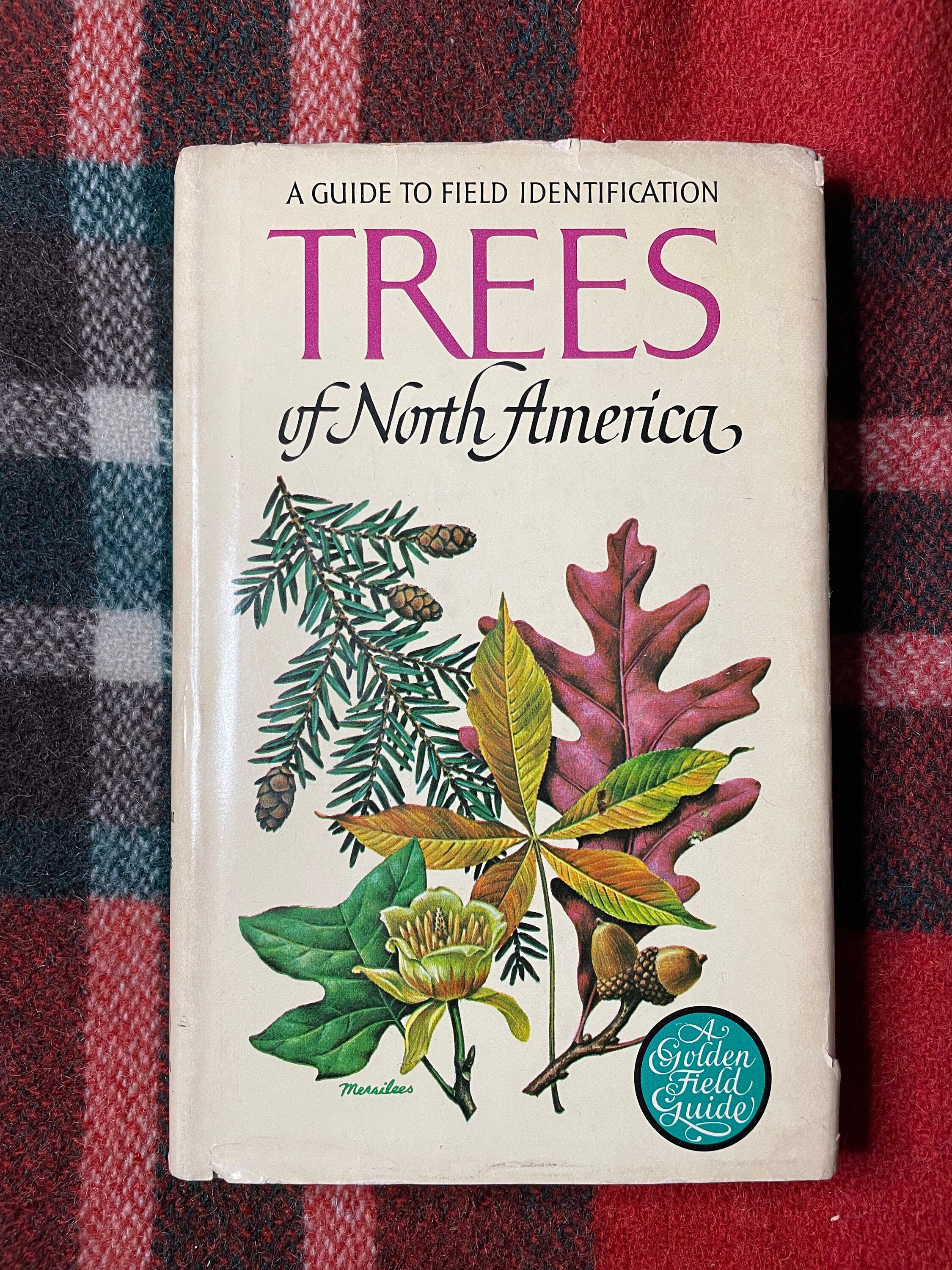 1968 Trees of North America – A Guide to Field Identification - Etsy