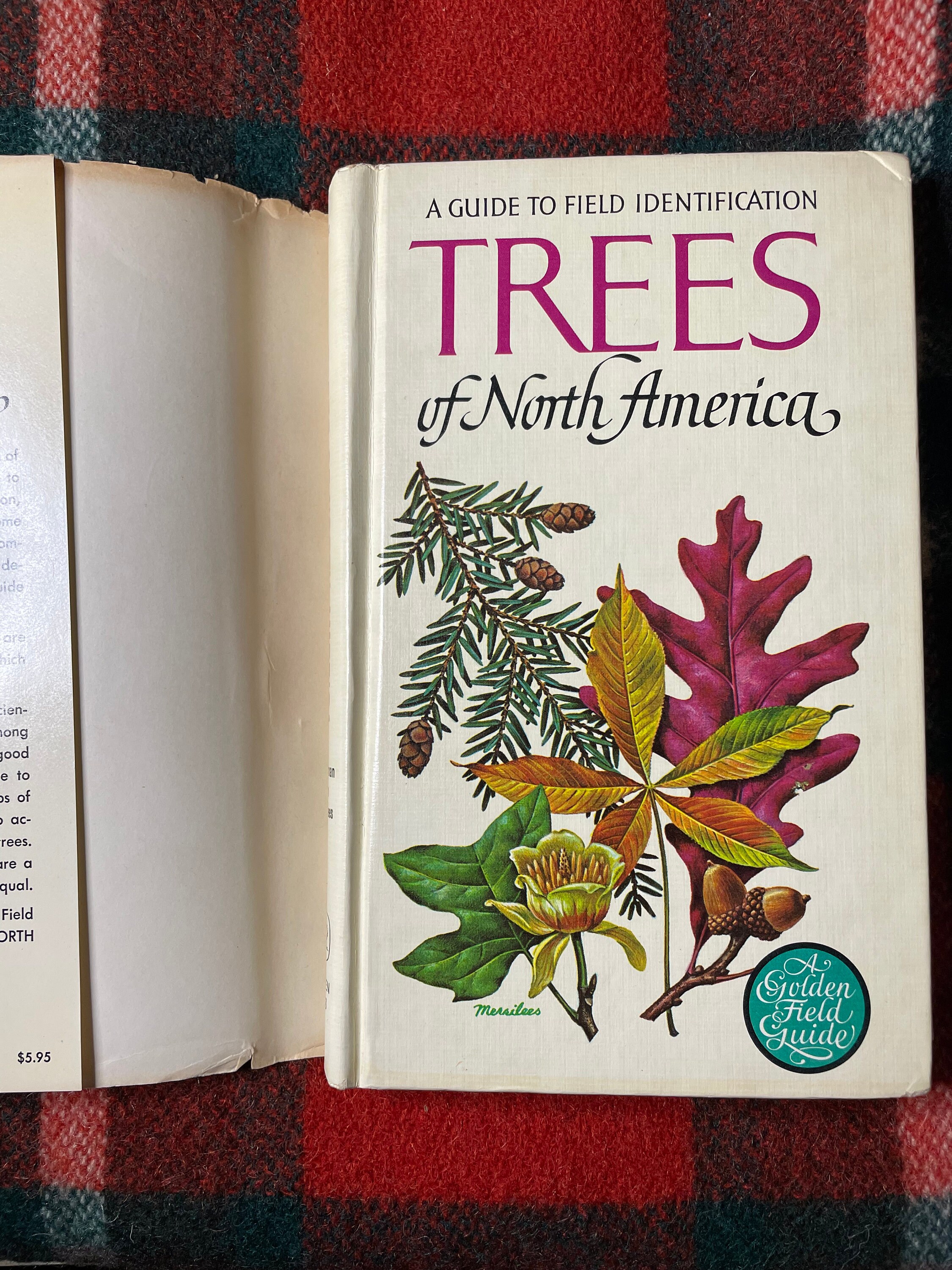 1968 Trees of North America A Guide to Field Identification - Etsy