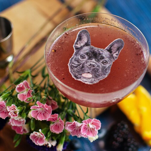 Pet Portrait Cut-out Wafer Drink Topper Cocktail Topper - Etsy