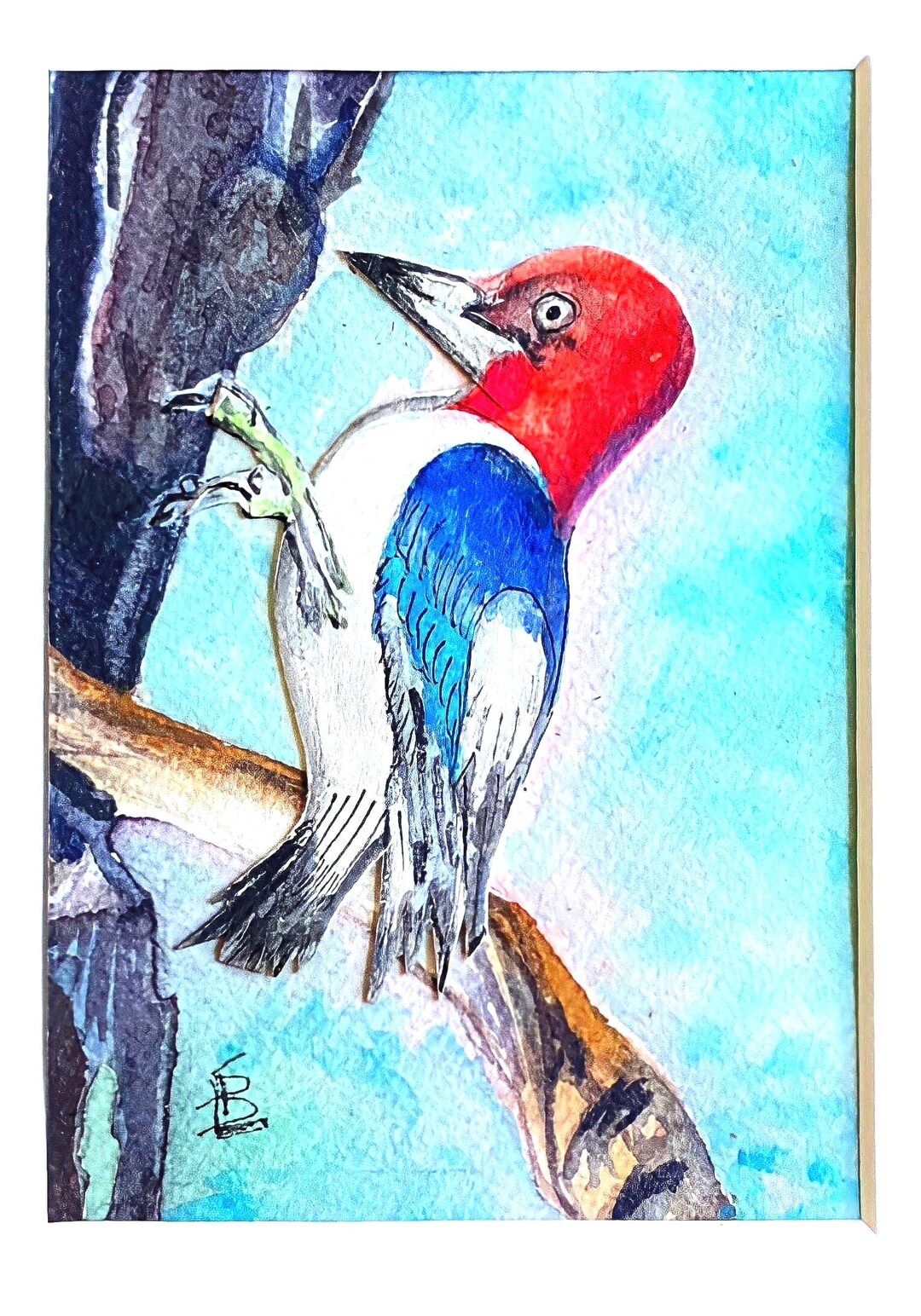 Woodpecker, Little Jewels Series, 9x7", Framed - Etsy