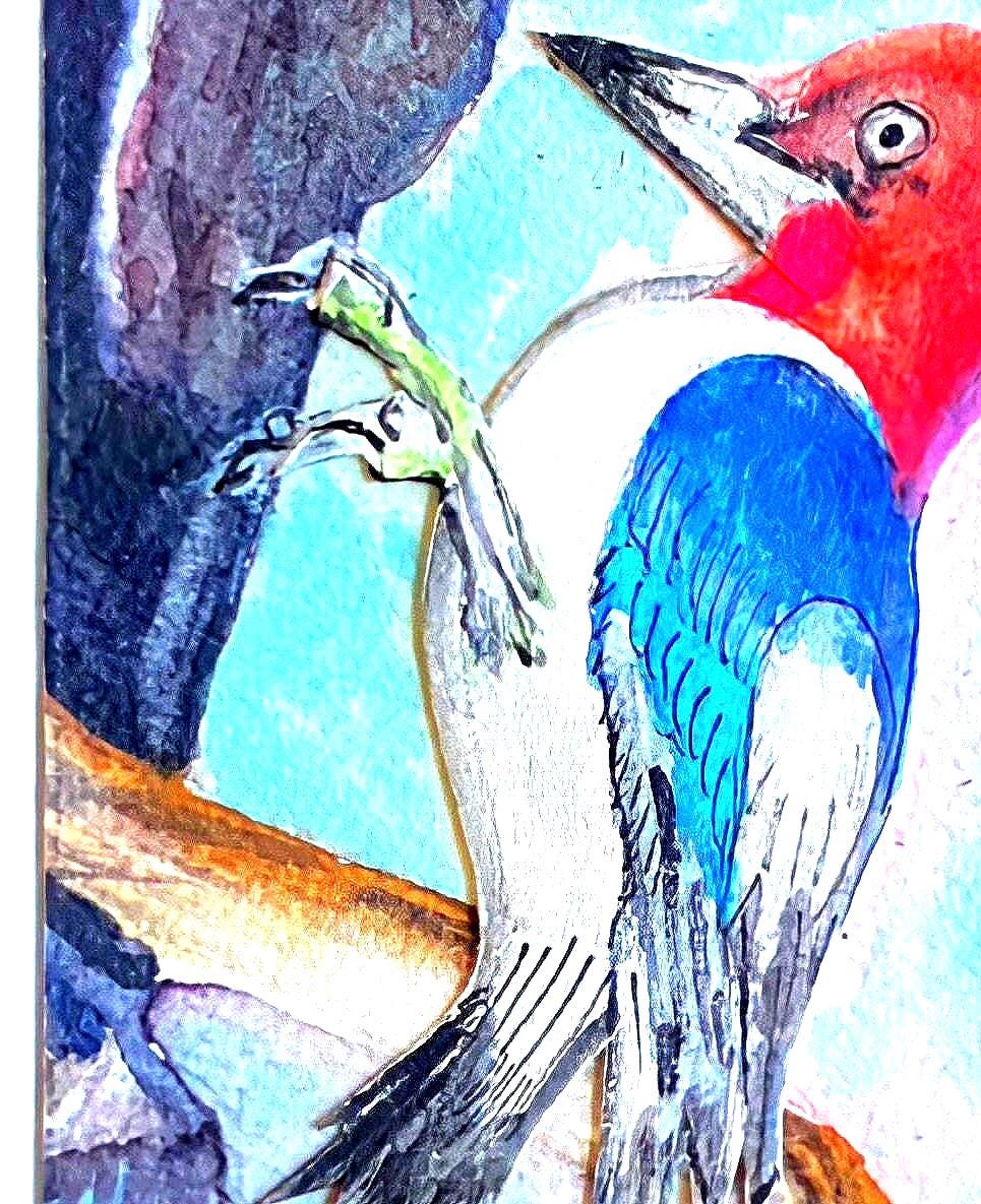 Woodpecker, Little Jewels Series, 9x7", Framed - Etsy