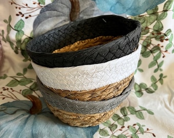 Montessori Life Cycle of A Salmon 5 Parts Cards (Download Now) - Etsy