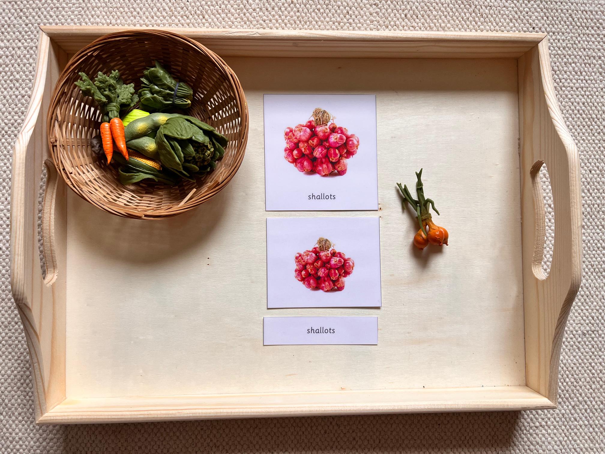 Montessori Common Vegetables 3 Parts Nomenclature Flash Cards ...