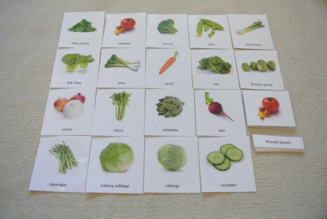 Montessori Common Vegetables 3 Parts Nomenclature Flash Cards ...