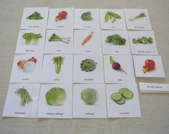 Montessori Common Fruits and Vegetables 3 Parts Cards With - Etsy