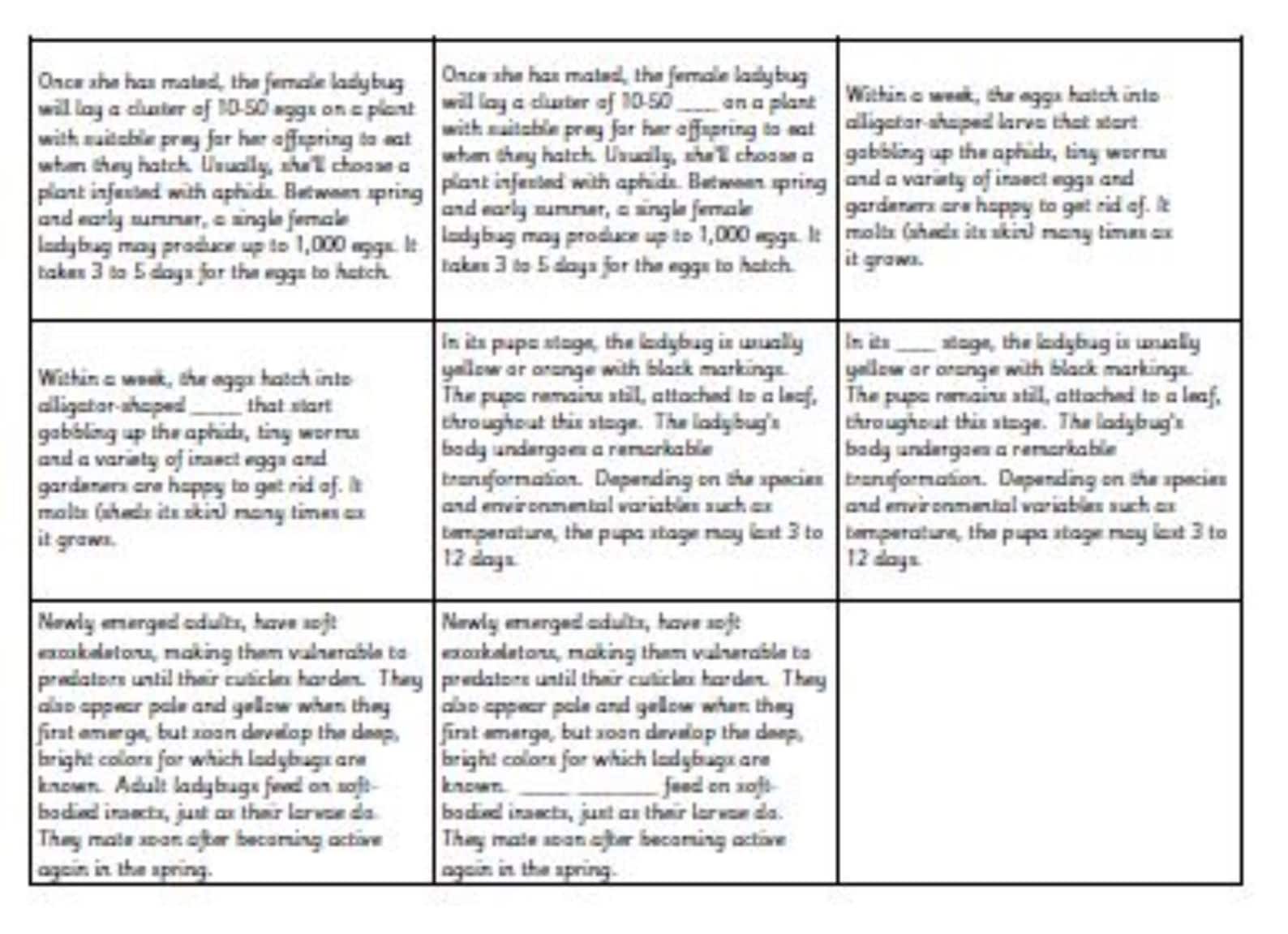Montessori Ladybug Life Cycle 5 Parts Cards Digital PDF Downlaod ...