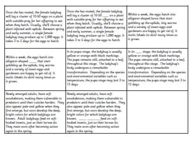 Montessori Ladybug Life Cycle 5 Parts Cards Digital PDF Downlaod ...