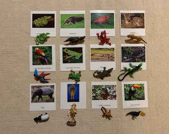 Montessori Arctic 3 Parts Cards With Miniatures - Etsy