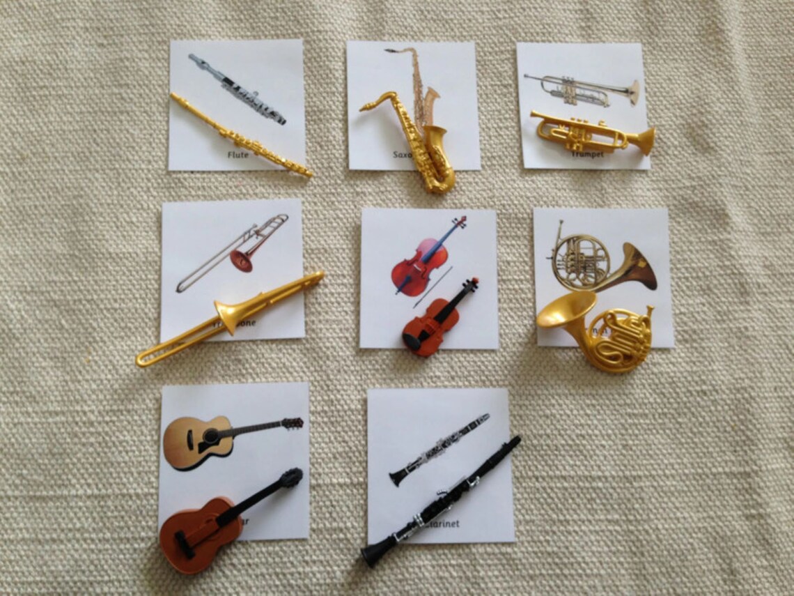 Montessori Musical Instrument Replica 5 Parts Cards Set With | Etsy