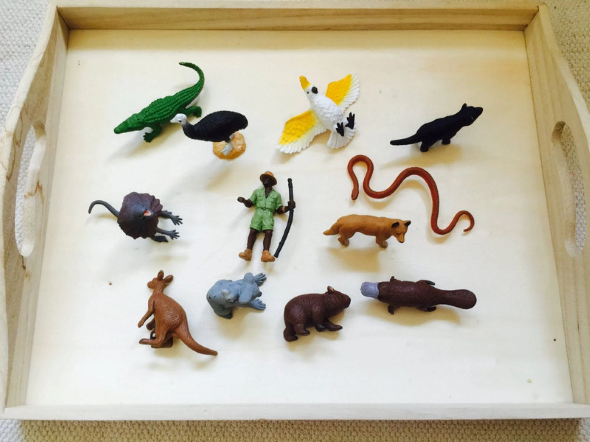 Montessori Knowing Australia 3 Parts Cards With Miniatures - Etsy