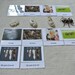 Montessori Life Cycle of an Ant 5 Parts Cards With Miniatures ...