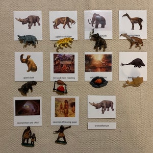 Montessori History Prehistoric Life and Animals 3 Parts Cards ...