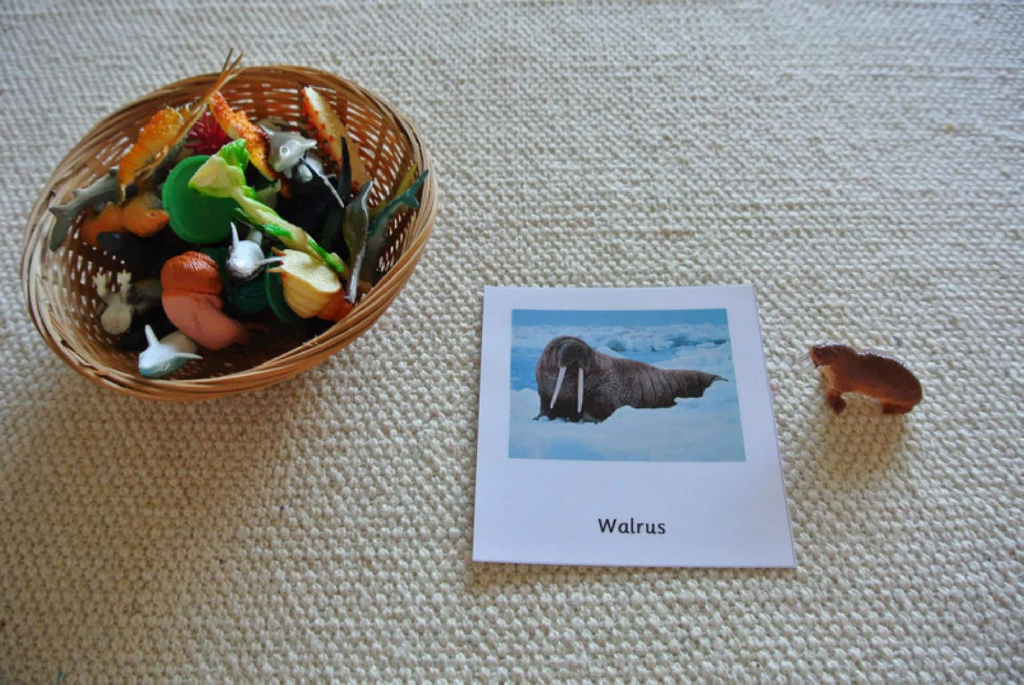 Montessori Sea Life Creatures and Matching 3 Part Cards Set | Etsy