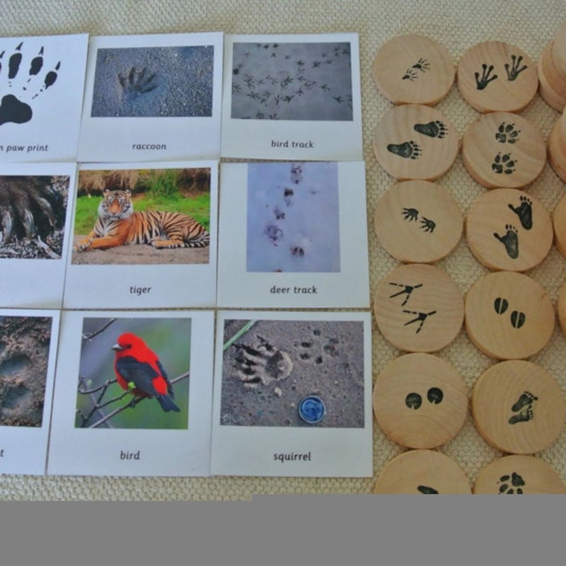 Animal Tracks - Etsy