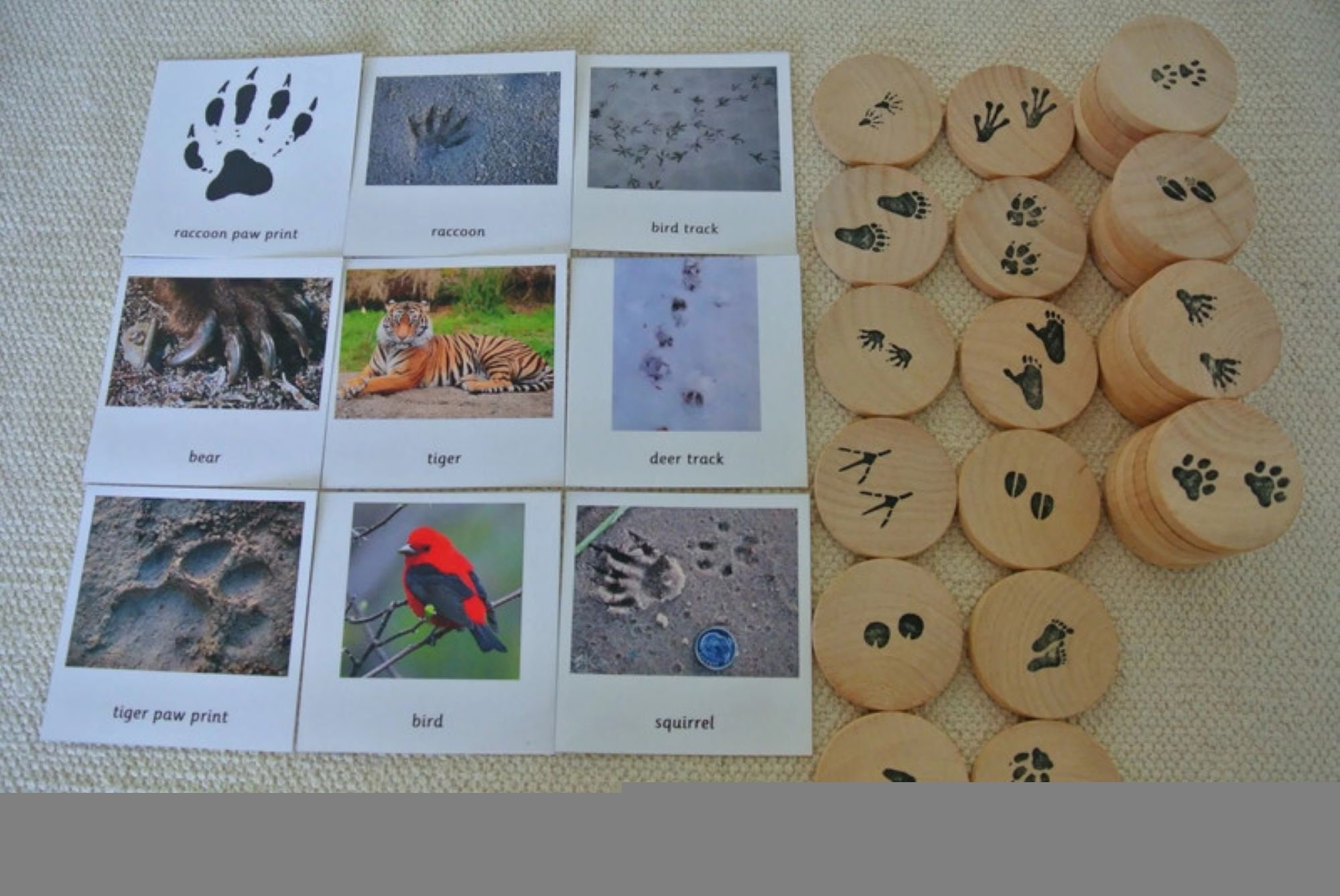 Montessori Inspired Animal Tracks Picture Cards and Memory - Etsy
