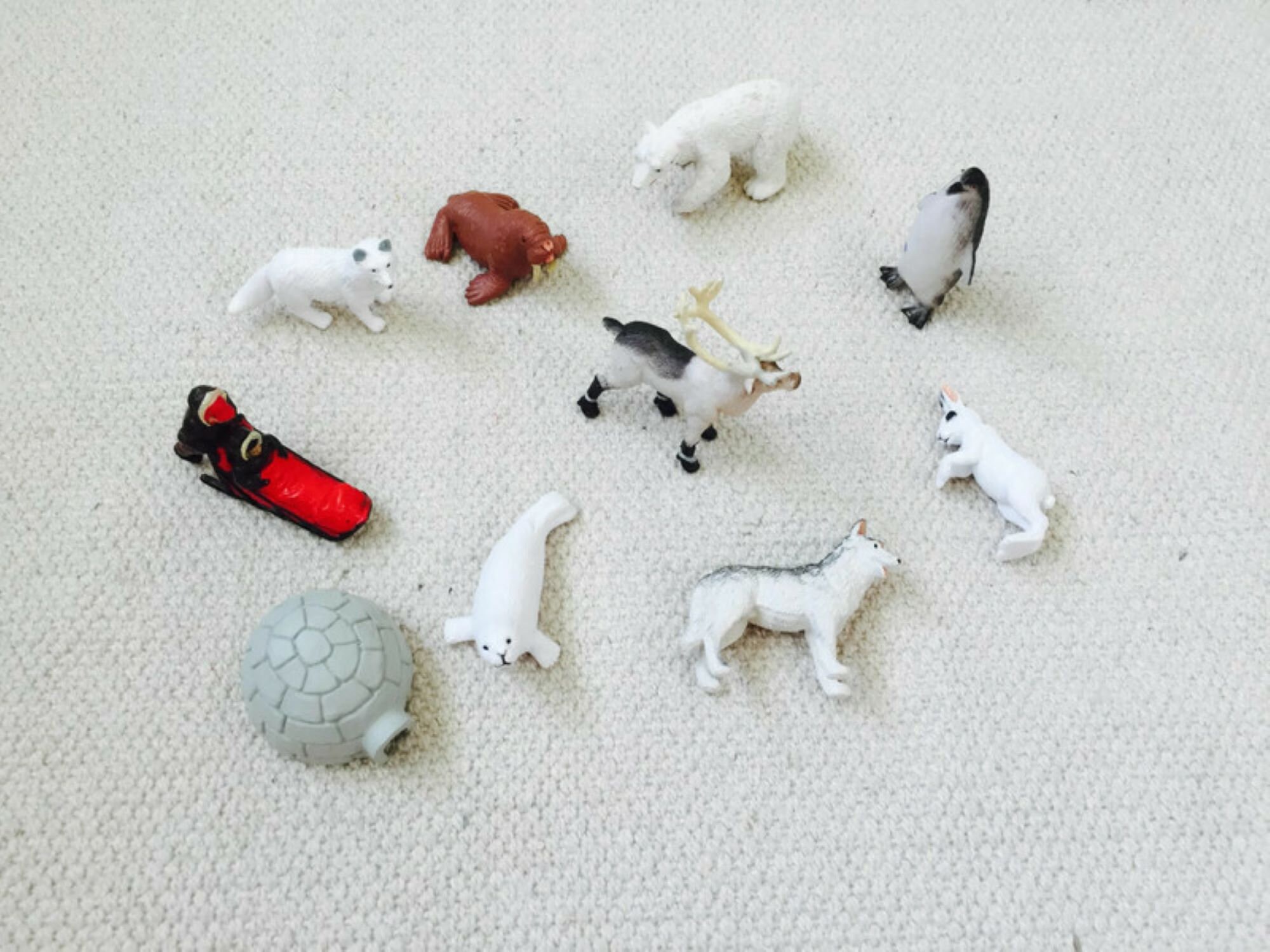 Montessori Arctic 3 Parts Cards With Miniatures - Etsy